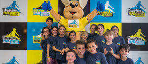 Trampoline Park Pays Basque Let's jump (Open Jump, Basket, Dodgeball ...